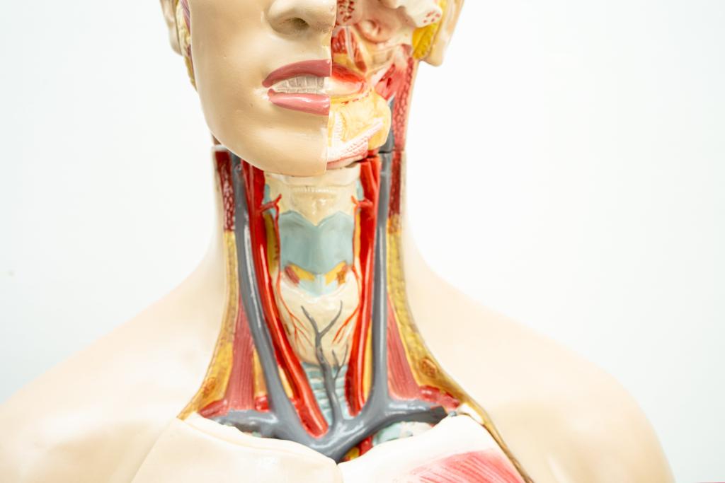 Ohad Ronen, Jamal Qarawany, Boaz Markel, Amiel Sberro, Eli Layous ...